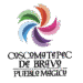 HISTORIA – Coscomatepec de Bravo